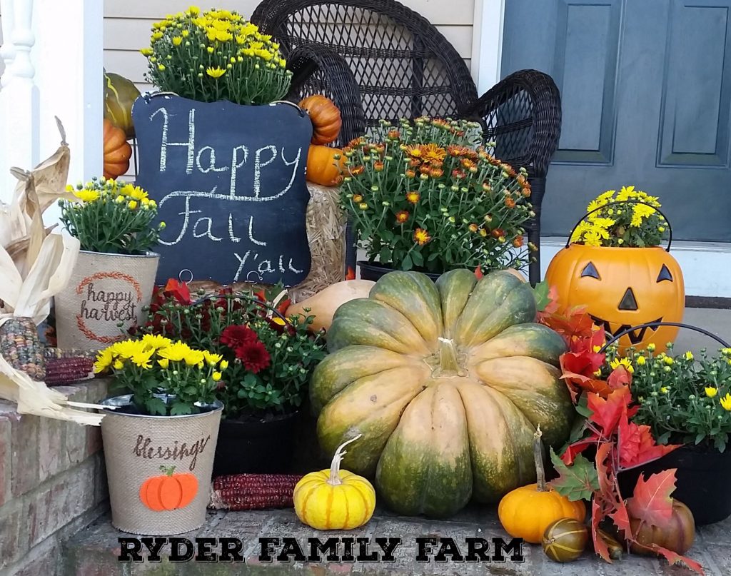 Mum Fundraiser in Southern Illinois - Ryder Family Farm
